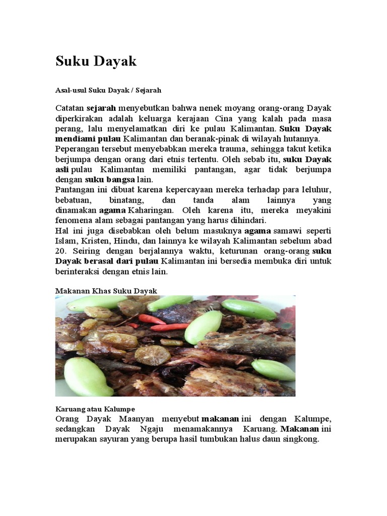 Suku Dayak | PDF