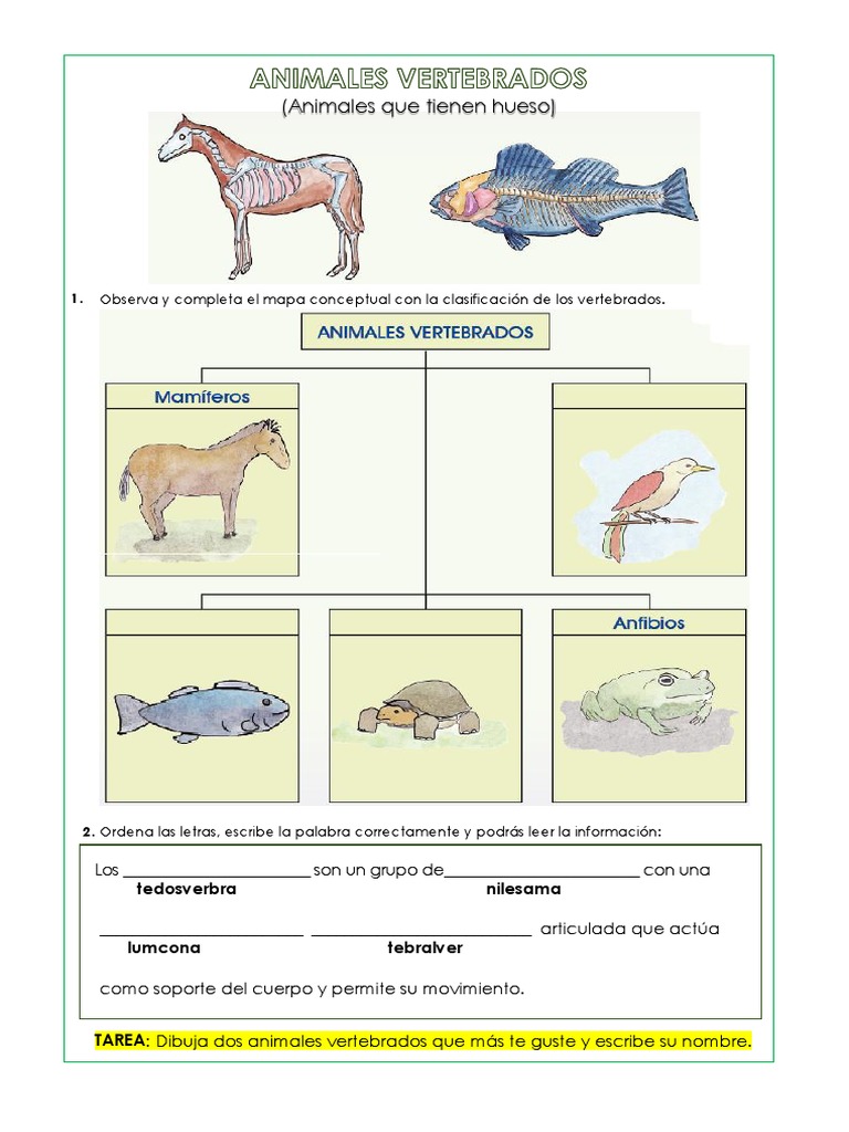 Animales Vertebrados | PDF