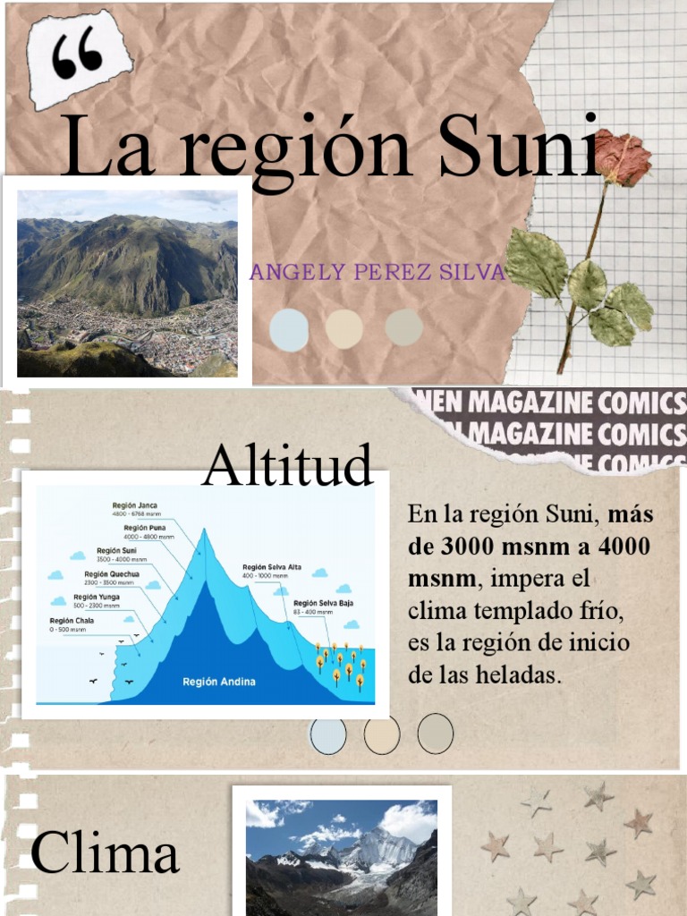 Exposicion Region Suni | PDF