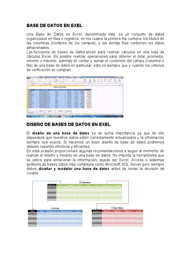 Base de Datos en Exel | PDF | Bases de datos | Microsoft Excel