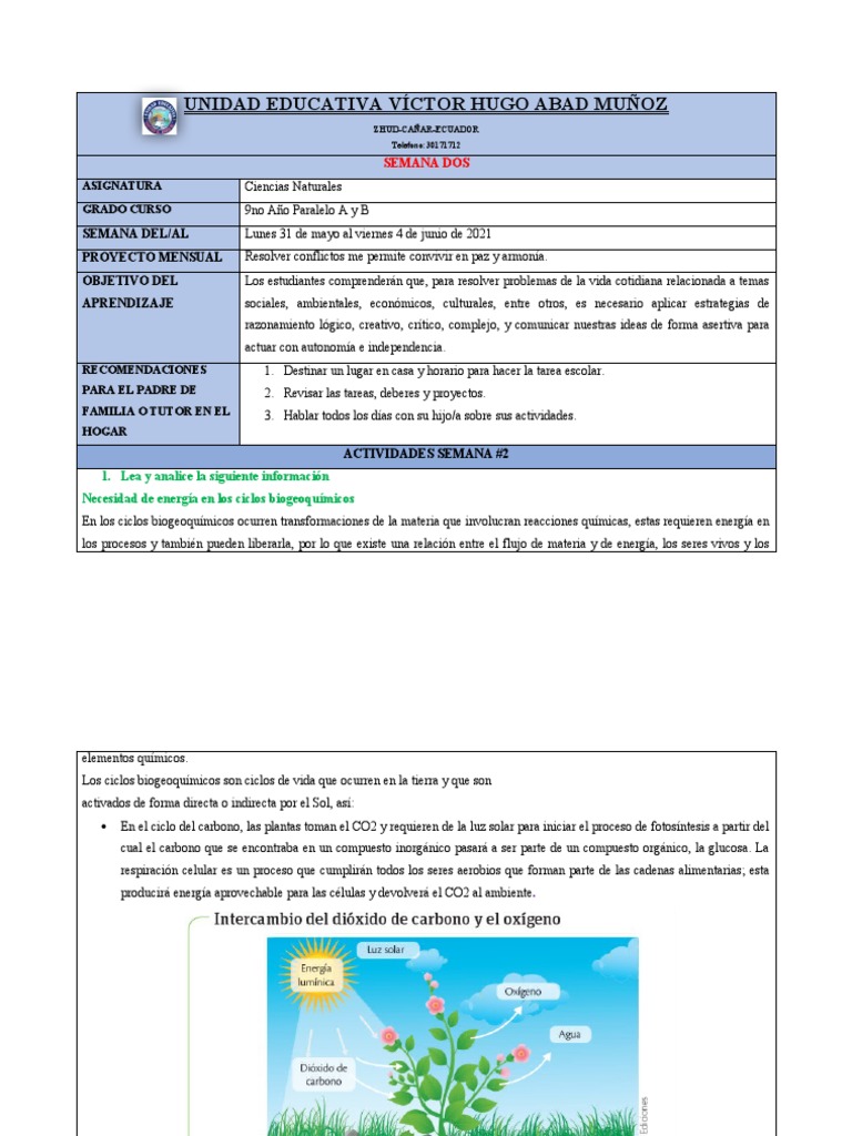 CCNN SEMANA DOS 10mo | PDF | Agua | Dom