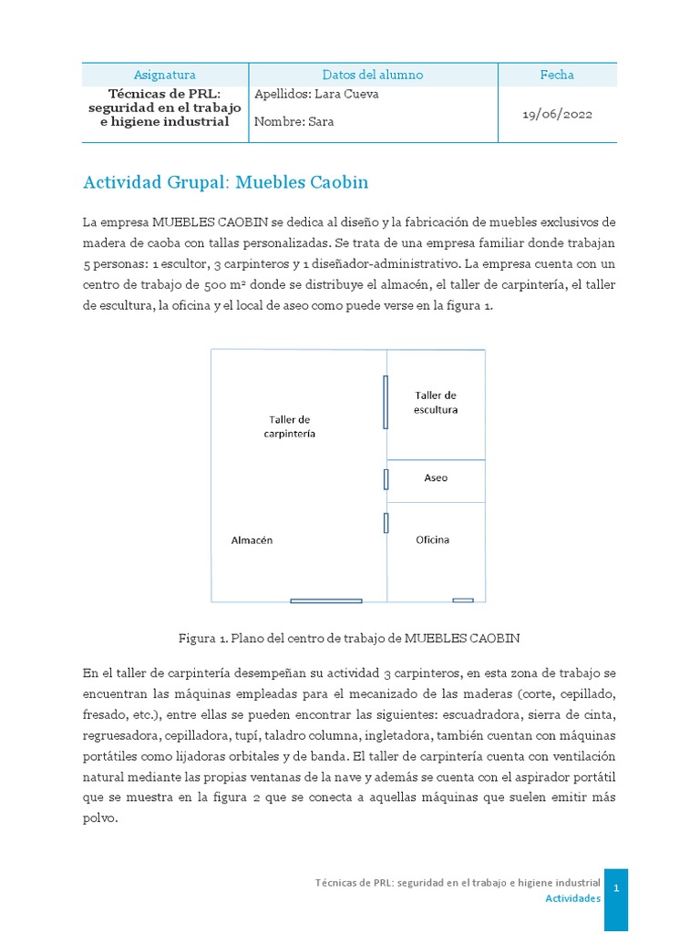 PRL en Muebles Caobin: Evaluación de Riesgos | PDF | Alergia | Higiene ...
