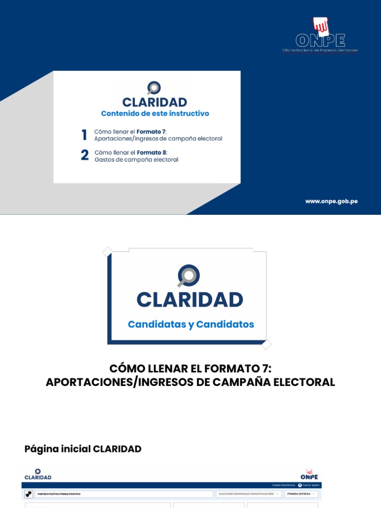 Instructivo Cómo Llenar Los Formatos 7 y 8 | PDF | Partidos políticos ...