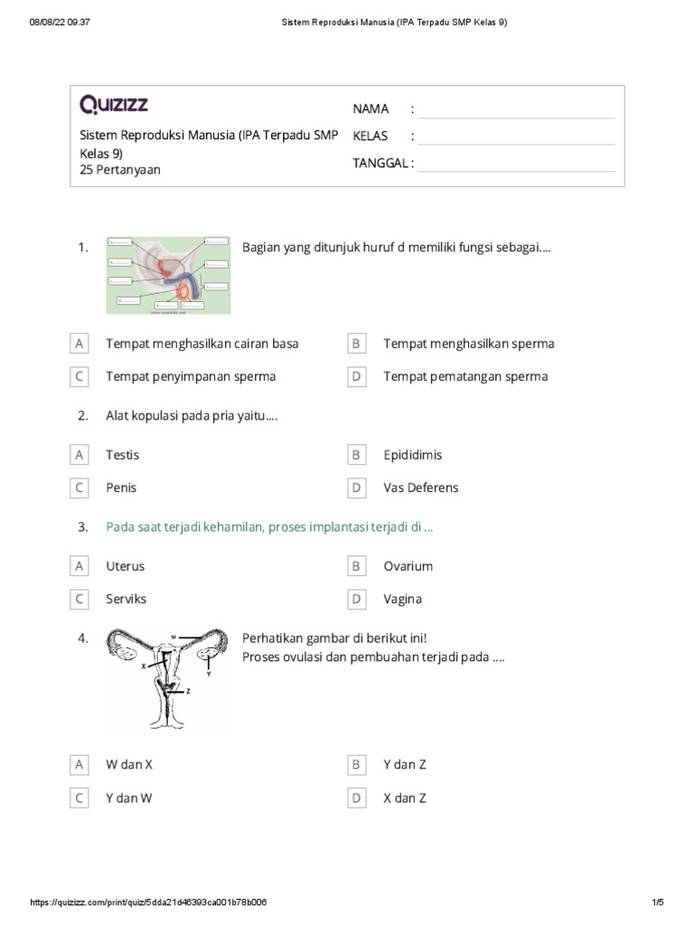 Sistem Reproduksi Manusia (IPA Terpadu SMP Kelas 9) | PDF