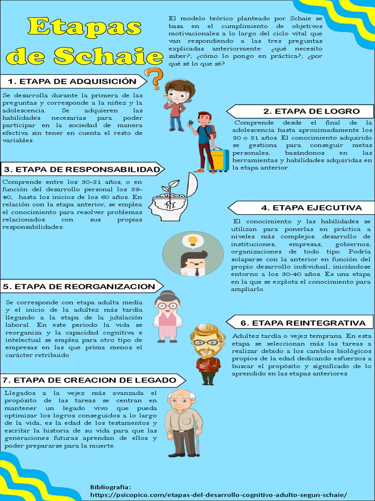 Infografia Etapas de Schaie | PDF | Adultos | Vejez