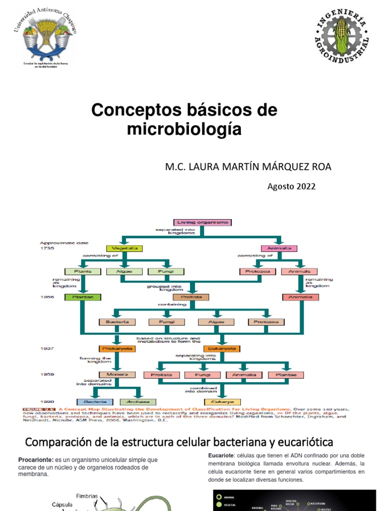 Conceptos Microbiología Básica | Descargar gratis PDF | Las bacterias | Esterilización ...
