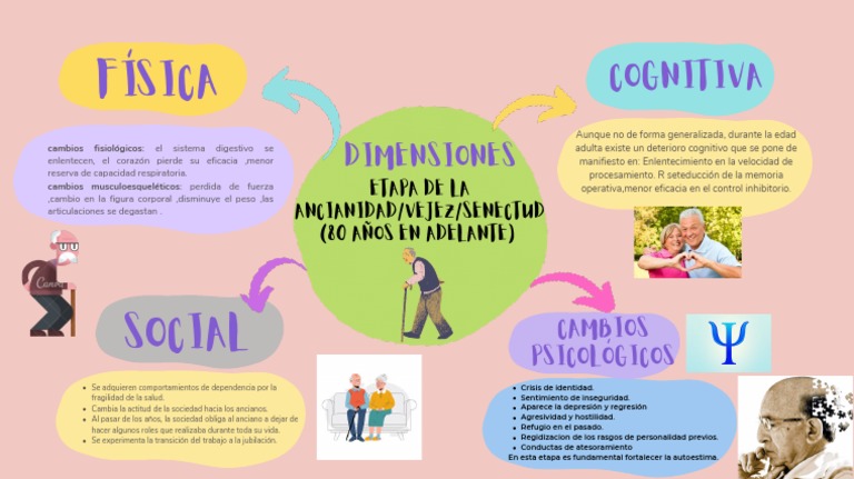 Etapa de La Ancianidad | PDF | Vejez | Sicología
