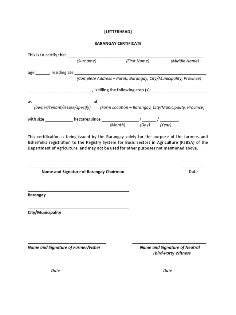 RSBSA Barangay Certificate | PDF