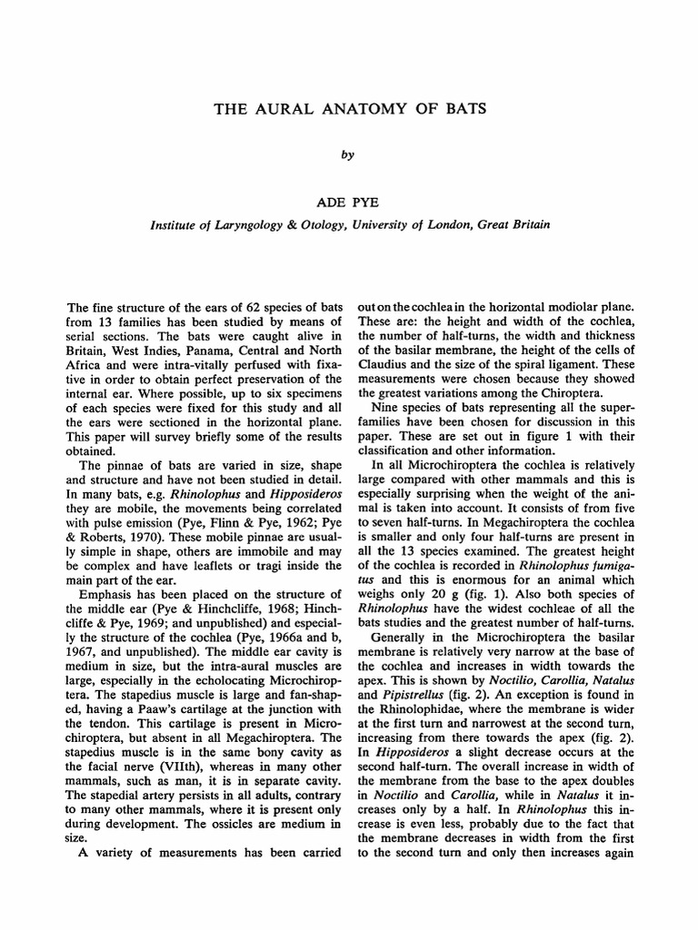 Bats Biology | Download Free PDF | Bat | Neuroscience