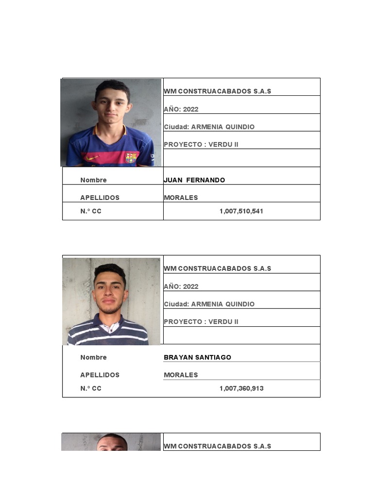 Formato de Carnet Obra Verdu | PDF