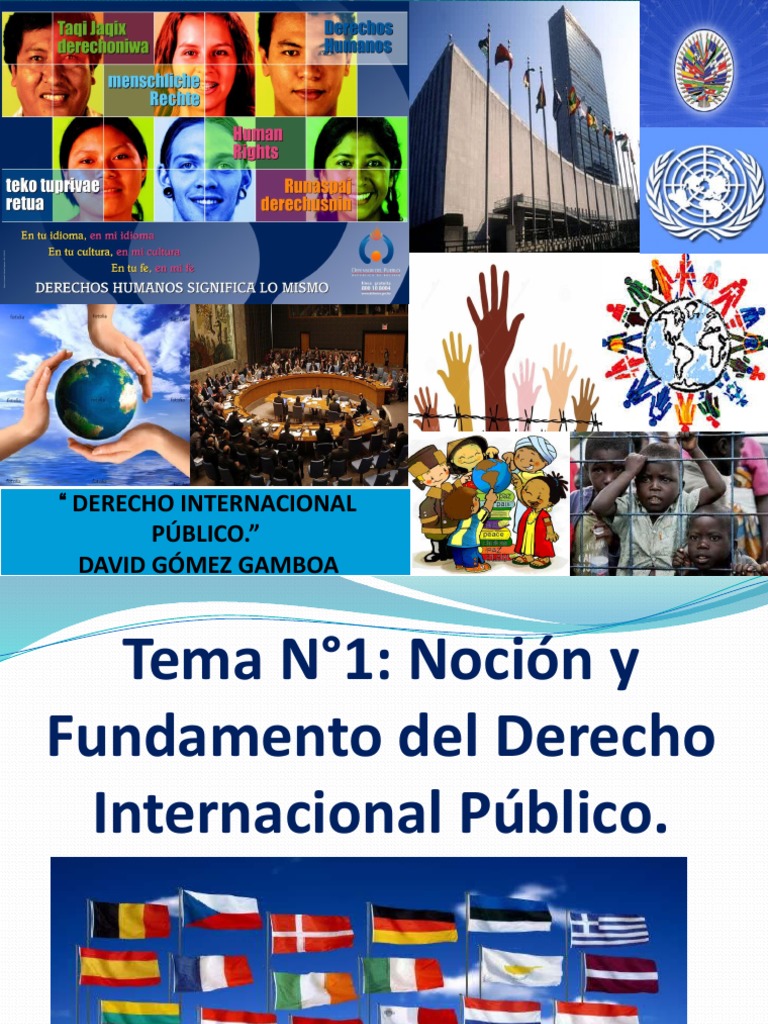 Tema 1 - Nocion y Fundamento Del Dip | PDF | Ley internacional | Derechos humanos