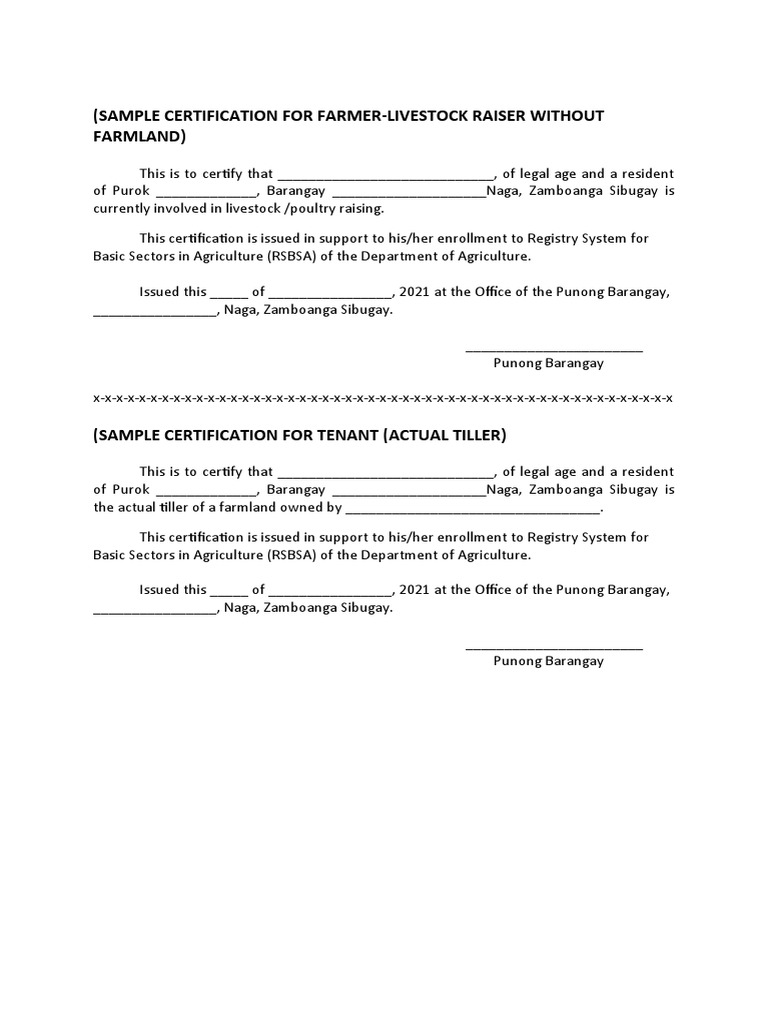 Barangay Certification RSBSA Raiser | PDF