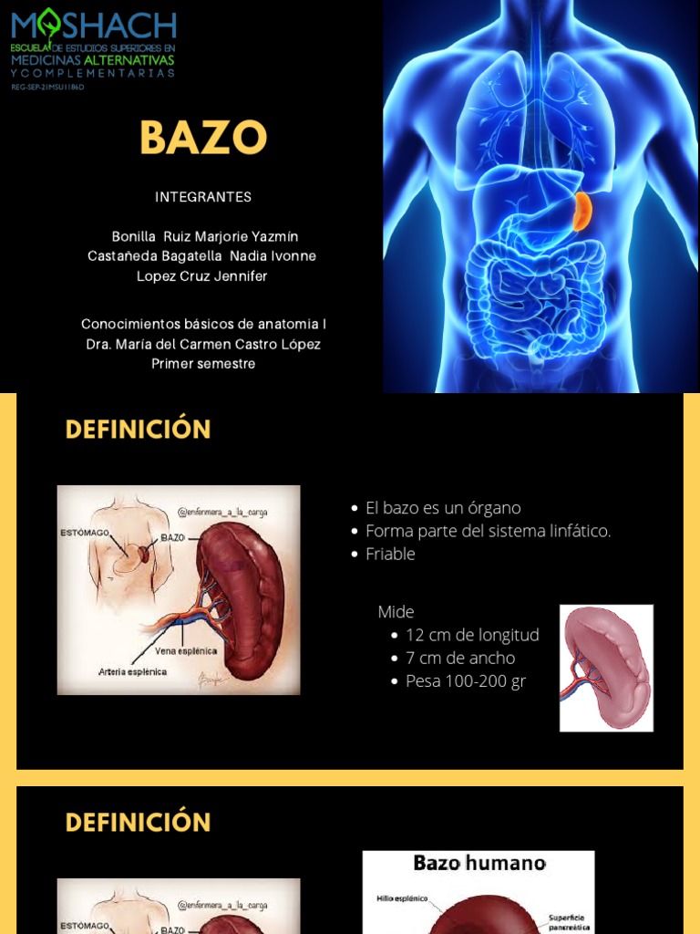 BAZO | PDF