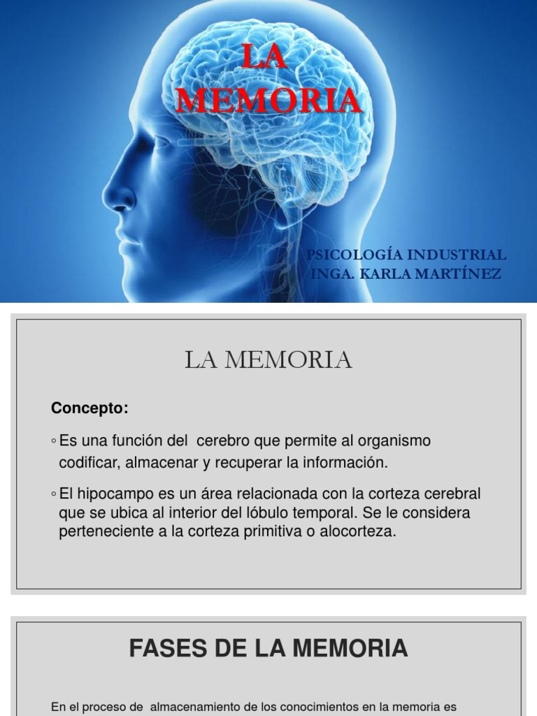 La Memoria Pdf Memoria Recuperar Memoria