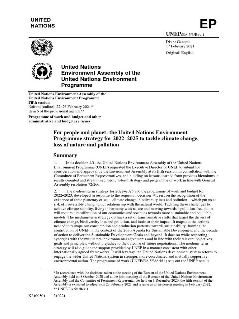 UNEP Strategy 2022-2025 Overview | PDF | Sustainability | Climate Change