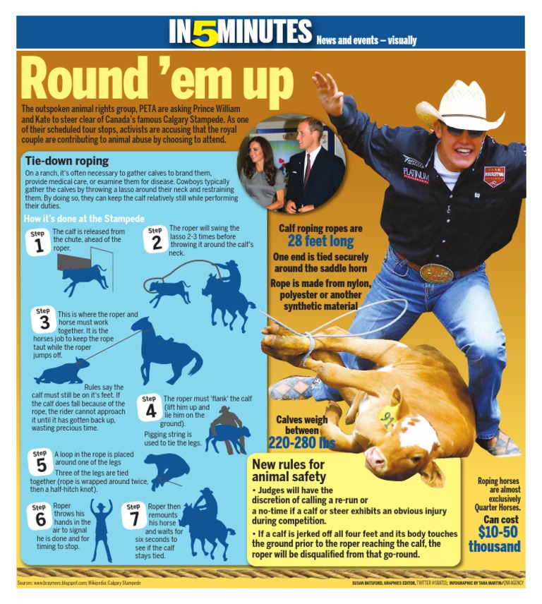 Round 'Em Up | PDF