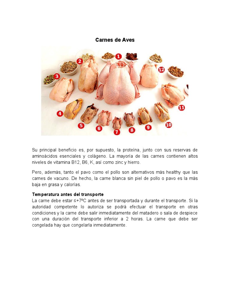 Transporte y Tipos de Carnes de Aves | PDF | Carne | Comida y bebida