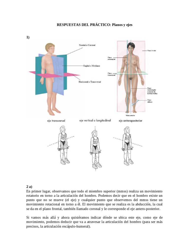 Solución Práctico Planos y Ejes | PDF | Términos anatómicos de ubicación | Tobillo