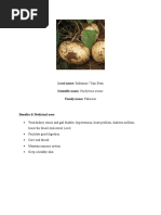 Sitaw Bataw: (English: String Beans Cebuano: Batong) Scientific Name | PDF