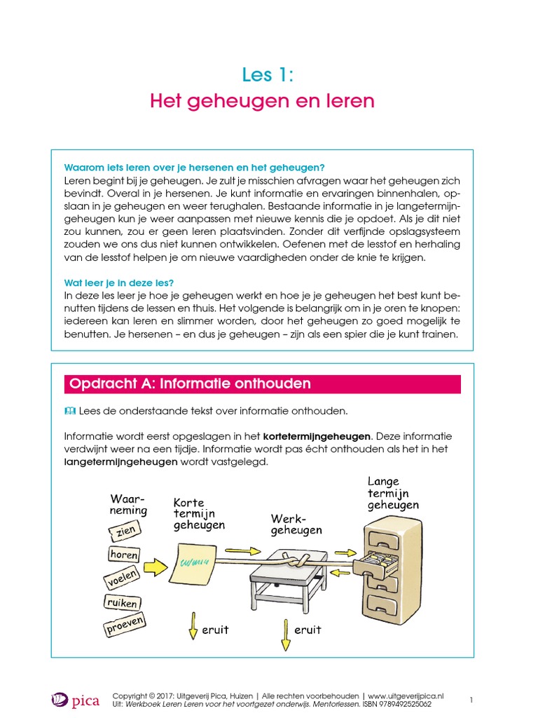 Mentorlessen Les 1 Het Geheugen en Leren | PDF