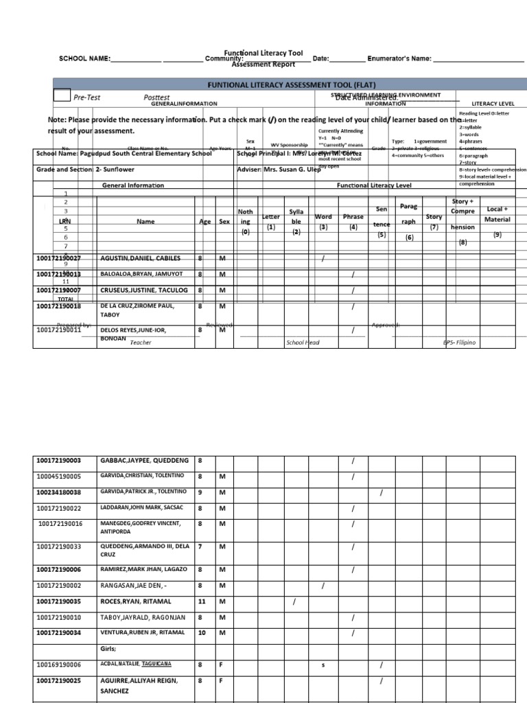 FLAT (Individual Learner and School) Assessment Tool | PDF | Reading (Process)