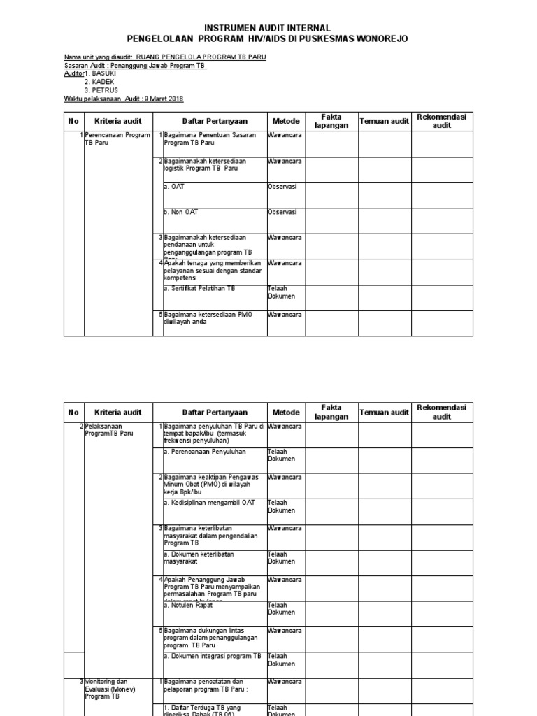 3b. Inst Audit Internal | PDF
