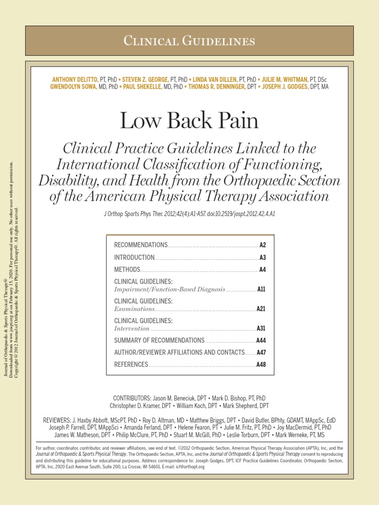 Low Back Pain | PDF | Low Back Pain | Physical Therapy