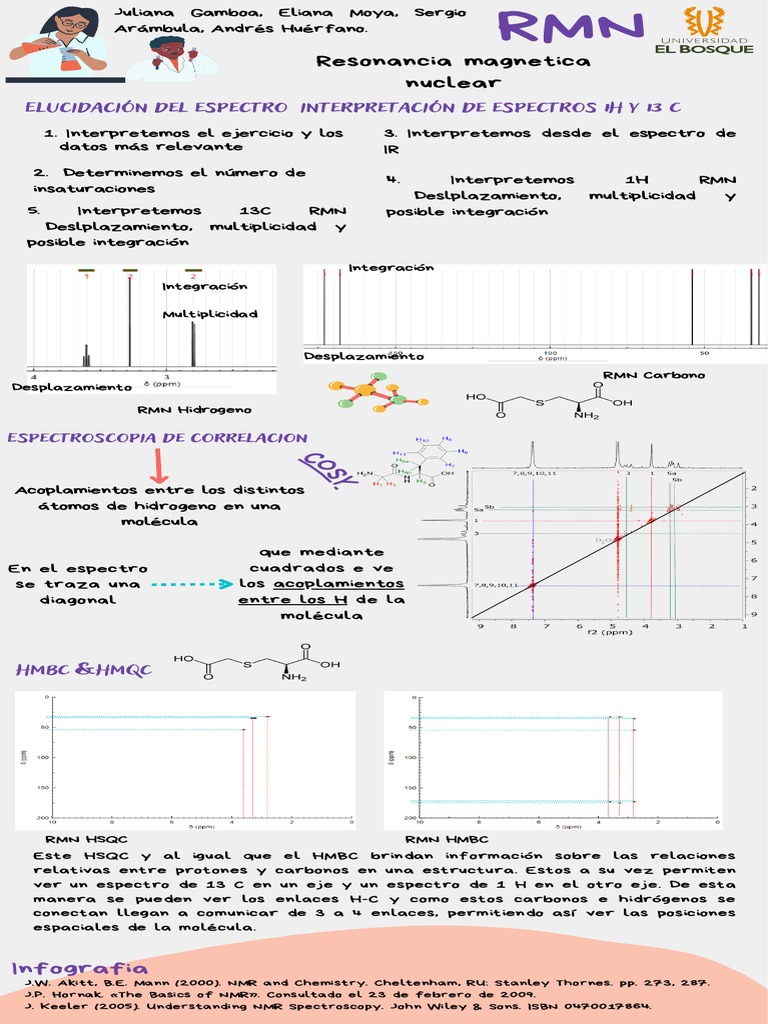 Infografía RMN | PDF