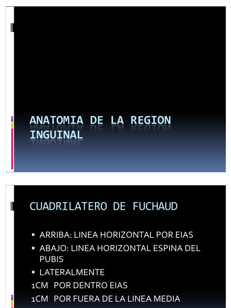Anatomia de La Region Inguinal | PDF