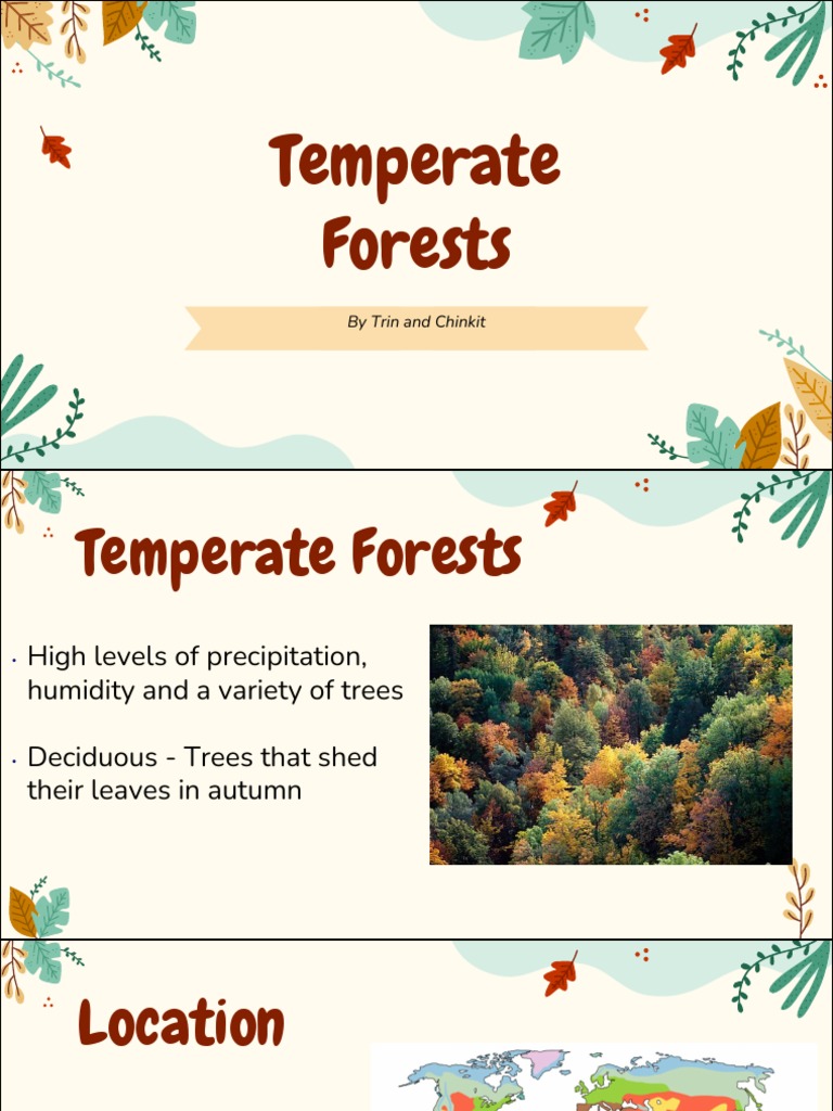 Temperate Forest Ecosystem Overview | PDF