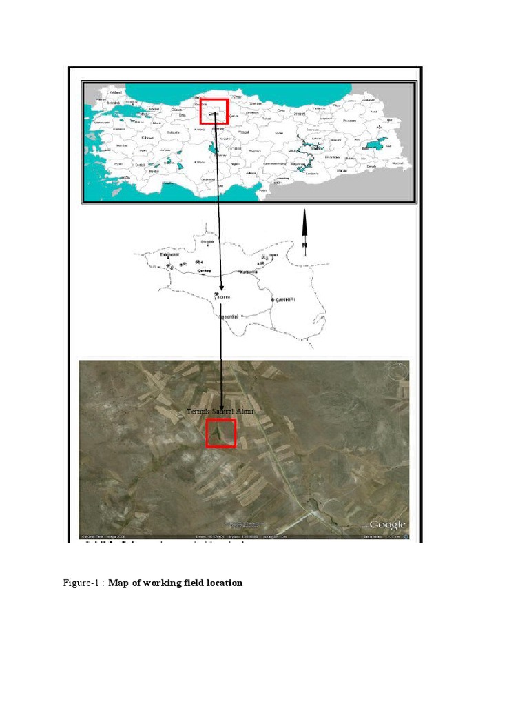 Geological Investigation Field Maps | PDF