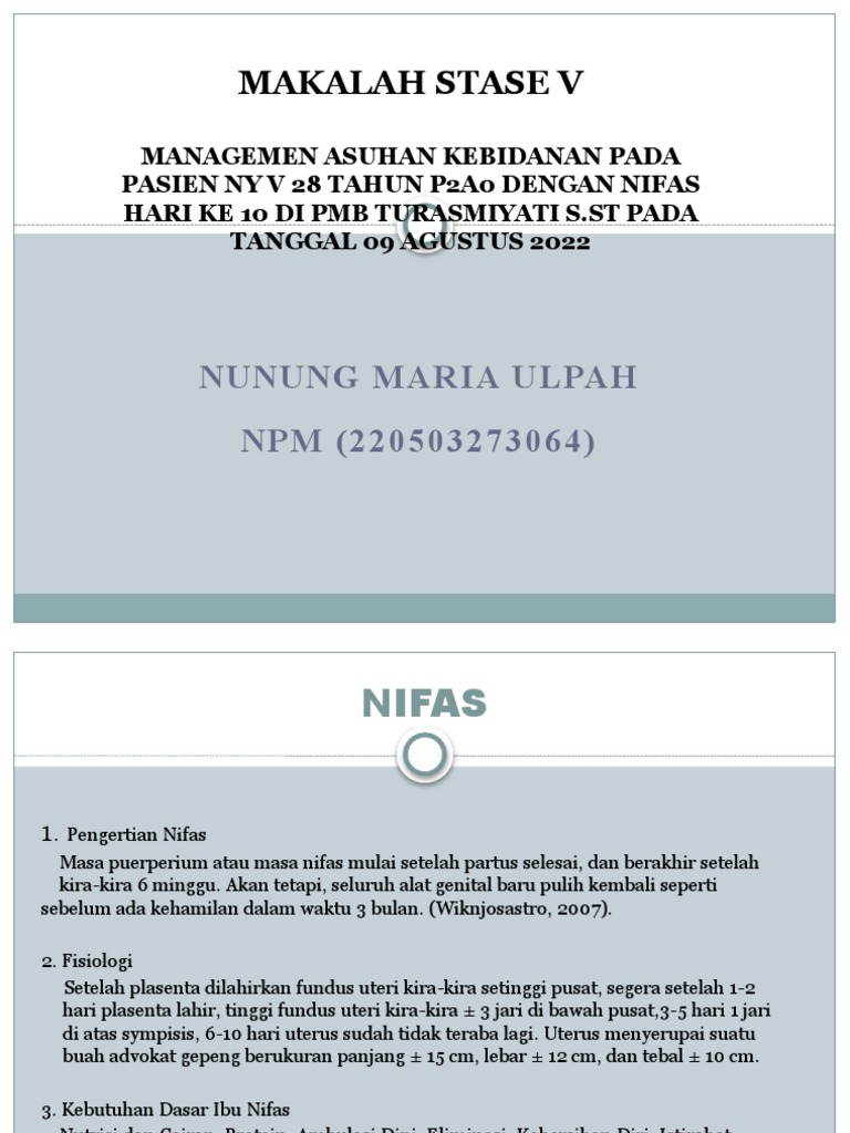 Stase 5 Ibu Nifas | PDF