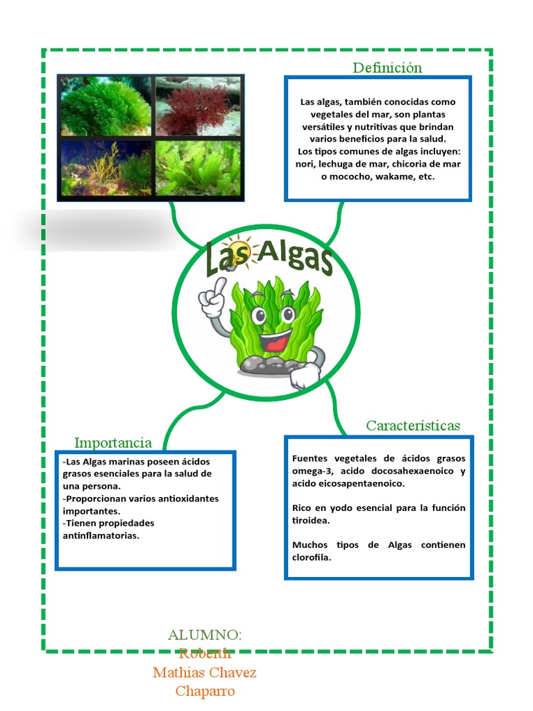 Infografia Sobre Las Algas | PDF