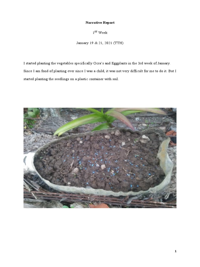 Narrative Report | PDF | Agriculture | Plants