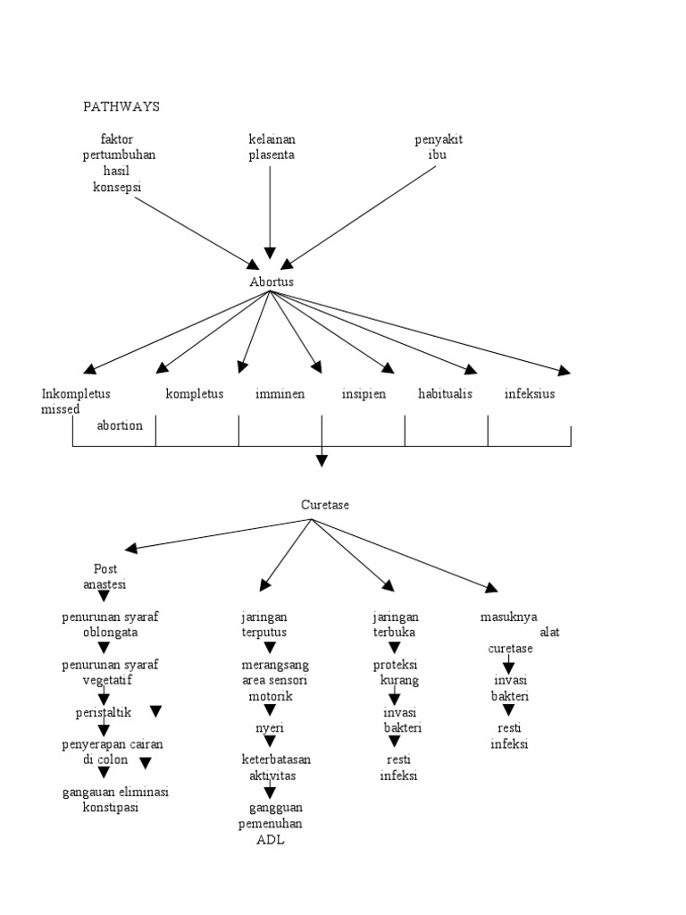 Pathways Abortus | PDF