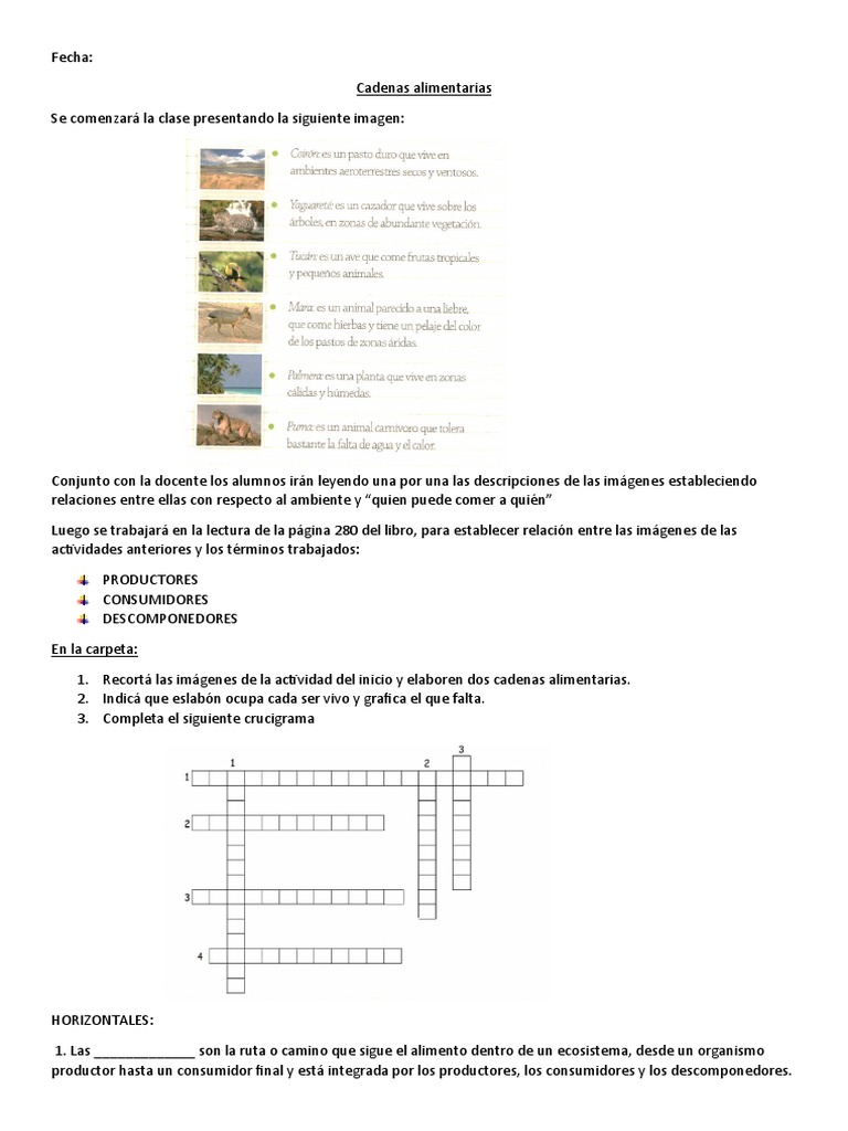 Actividades sobre Cadenas Alimentarias | PDF