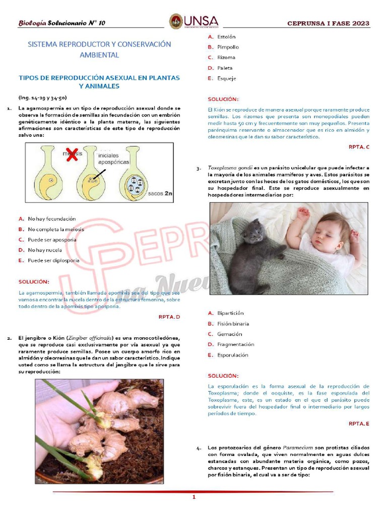Practica #10 Solucionario Biología - Ceprunsa I Fase 2023 | PDF