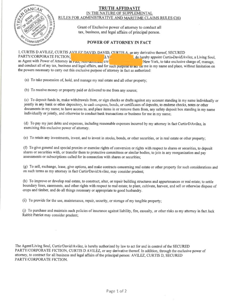 Power of Attorney in Fact | PDF