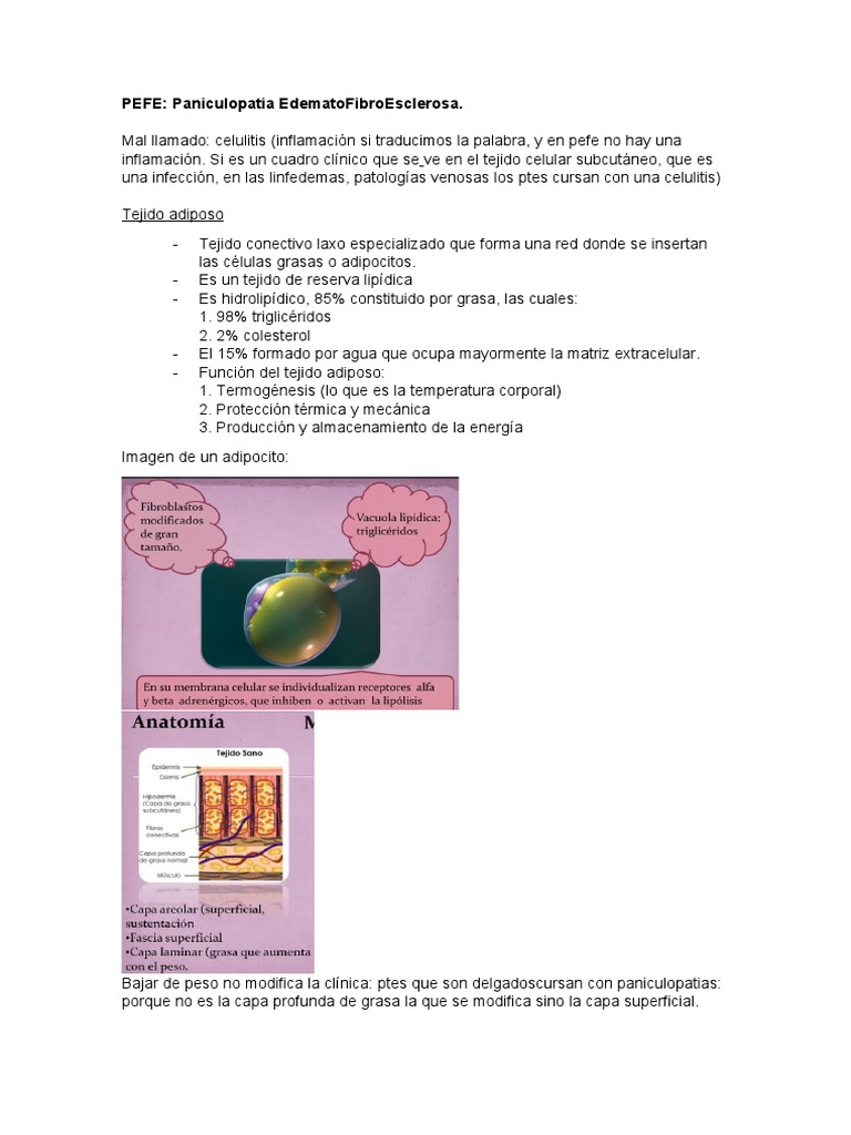 PEFE | PDF | Tejido adiposo | Edema