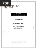 Life Sciences Grade 10 Revision Material Term 2 - 2023 | PDF | Atrium ...