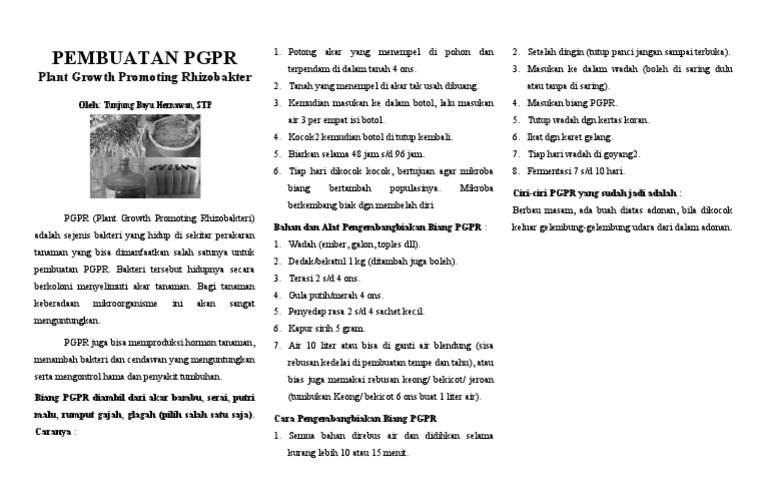Pembuatan PGPR | PDF