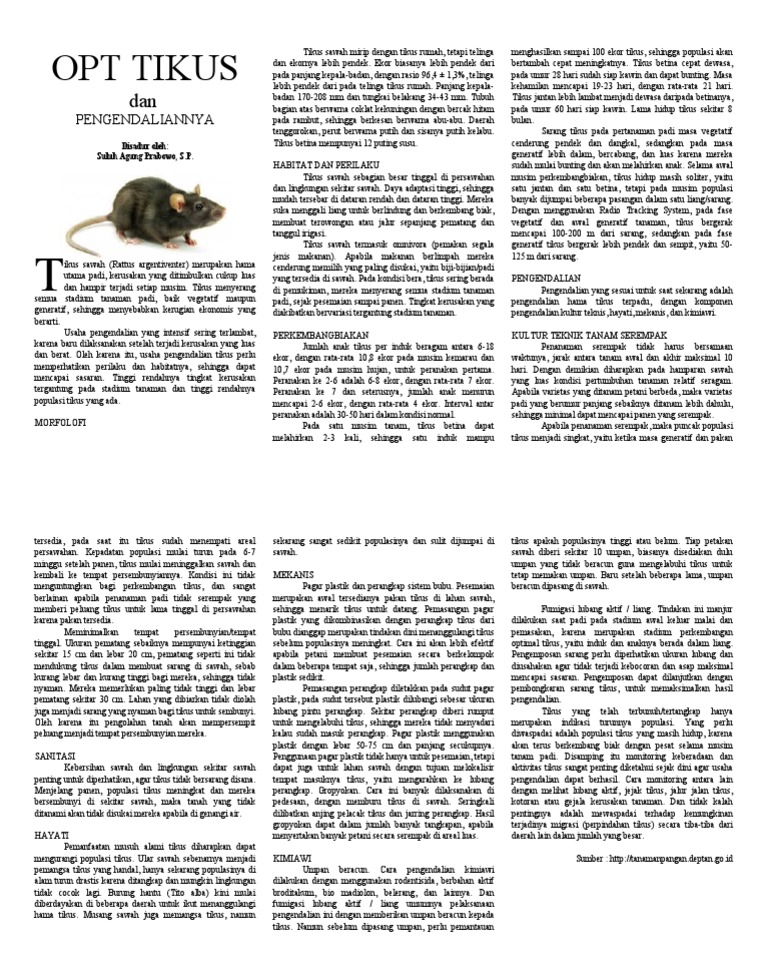 Leaflet OPT Tikus Dan Pengendalian | PDF