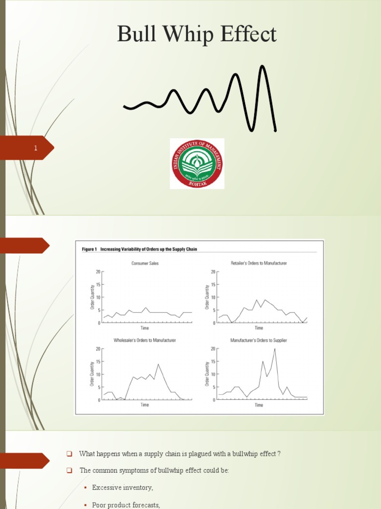 Causes of Bull Whip Effect | PDF | Marketing | Business Process Management