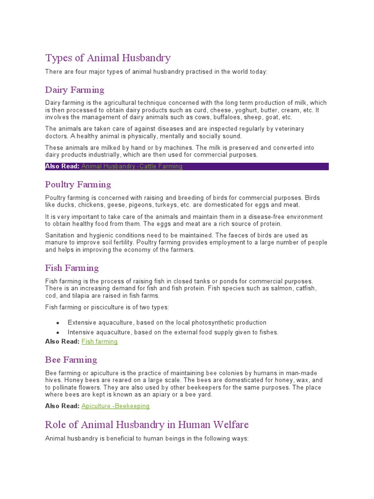 Types of Animal Husbandry: Dairy Farming | PDF | Agriculture | Beekeeping