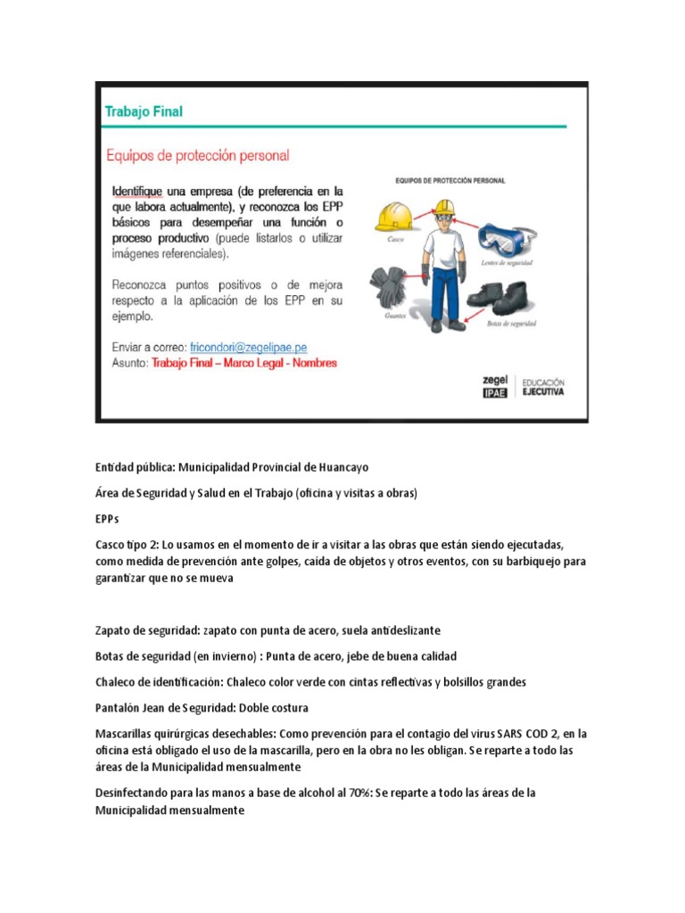 Trabajo Final Ipae | PDF