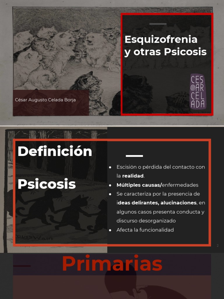 Esquizofrenia y Tipos de Psicosis | PDF | Esquizofrenia | Psicosis