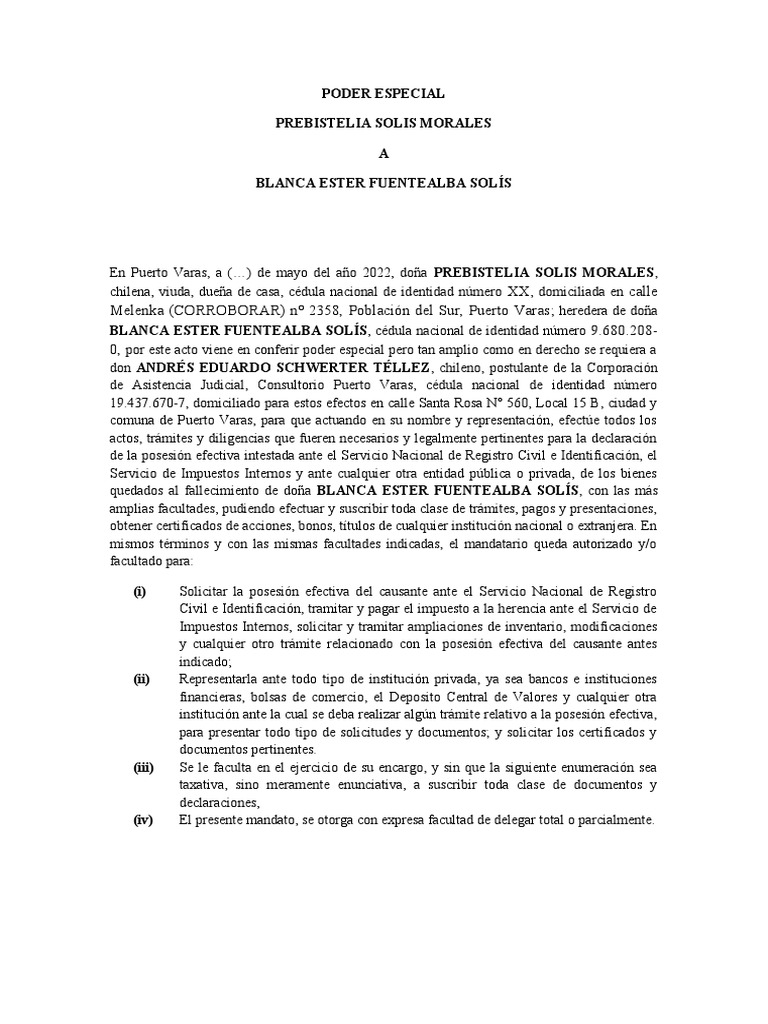 Modelo Poder Especial | PDF