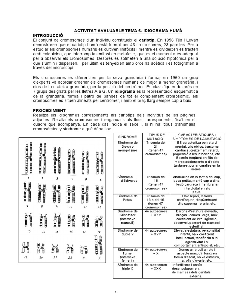 Idiograma Humà | PDF
