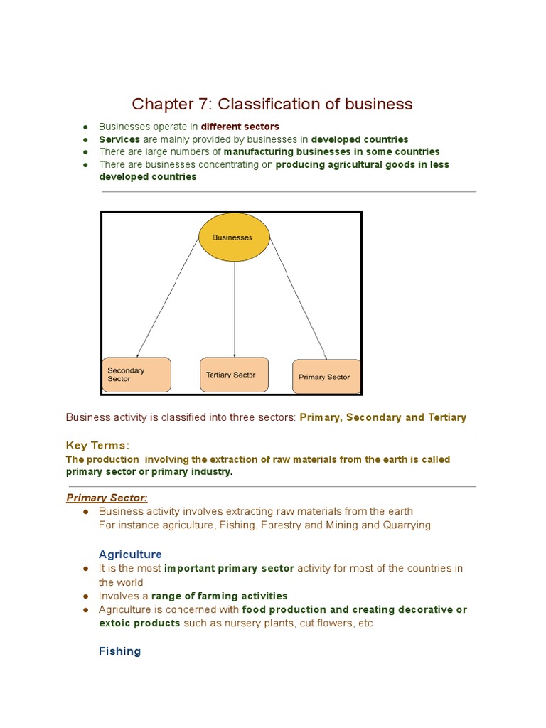 Classifying Business Activity: An Overview of How Businesses Operate ...