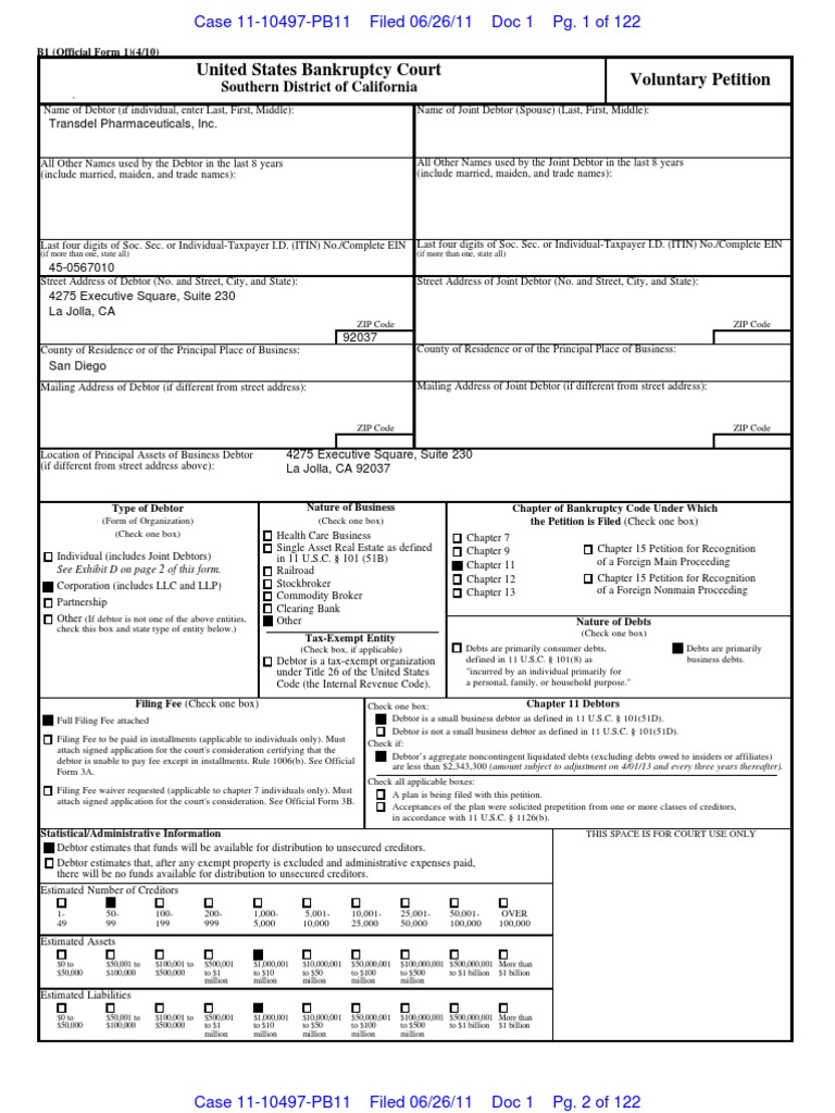 Transdel First Day Petitions | PDF | Chapter 7 | Bankruptcy